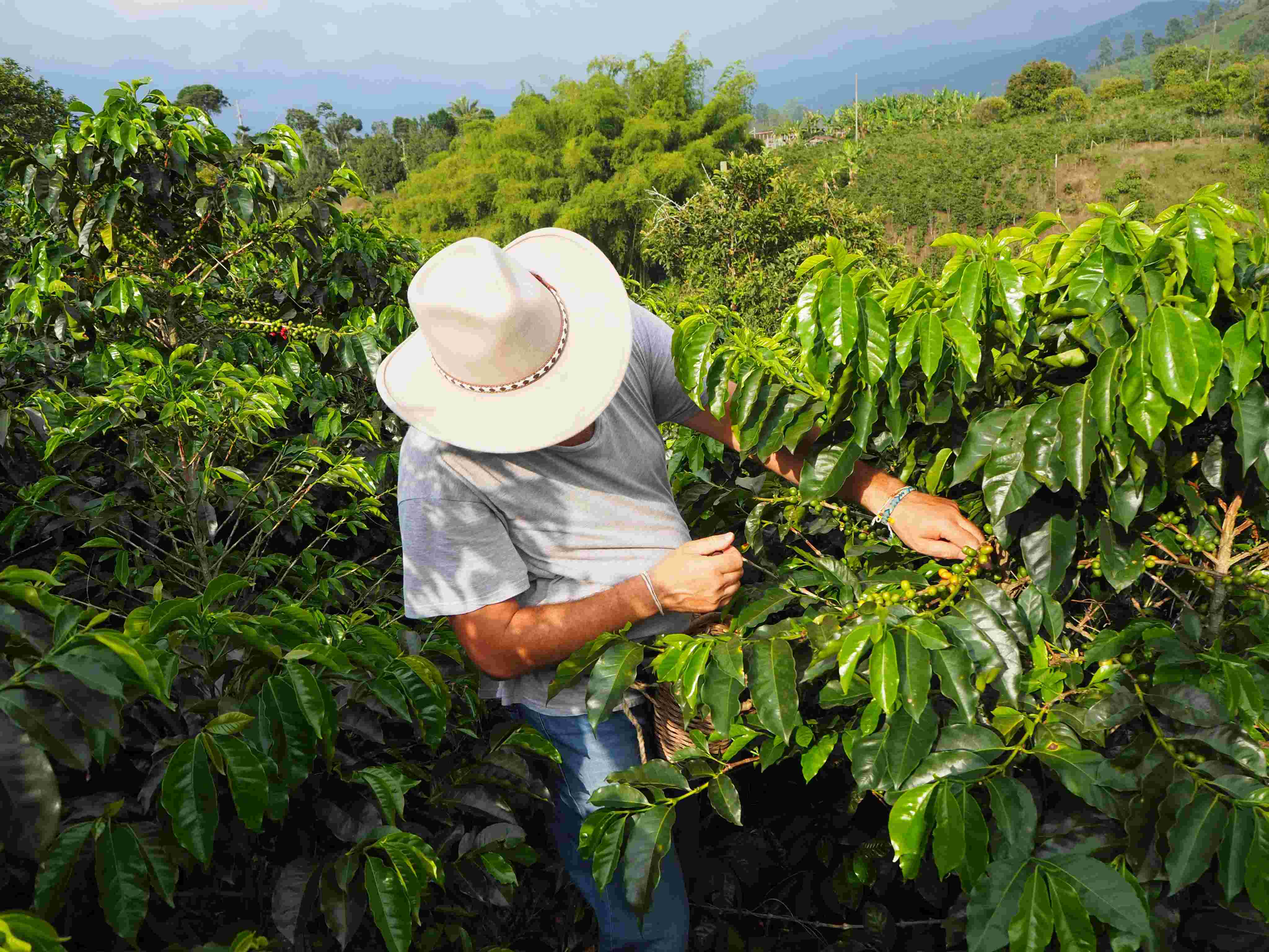 Support Local Communities with Community Based Tourism